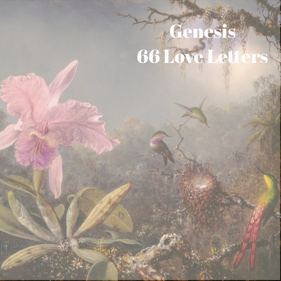 66 Love Letters Study Guide: Genesis – Larger Story